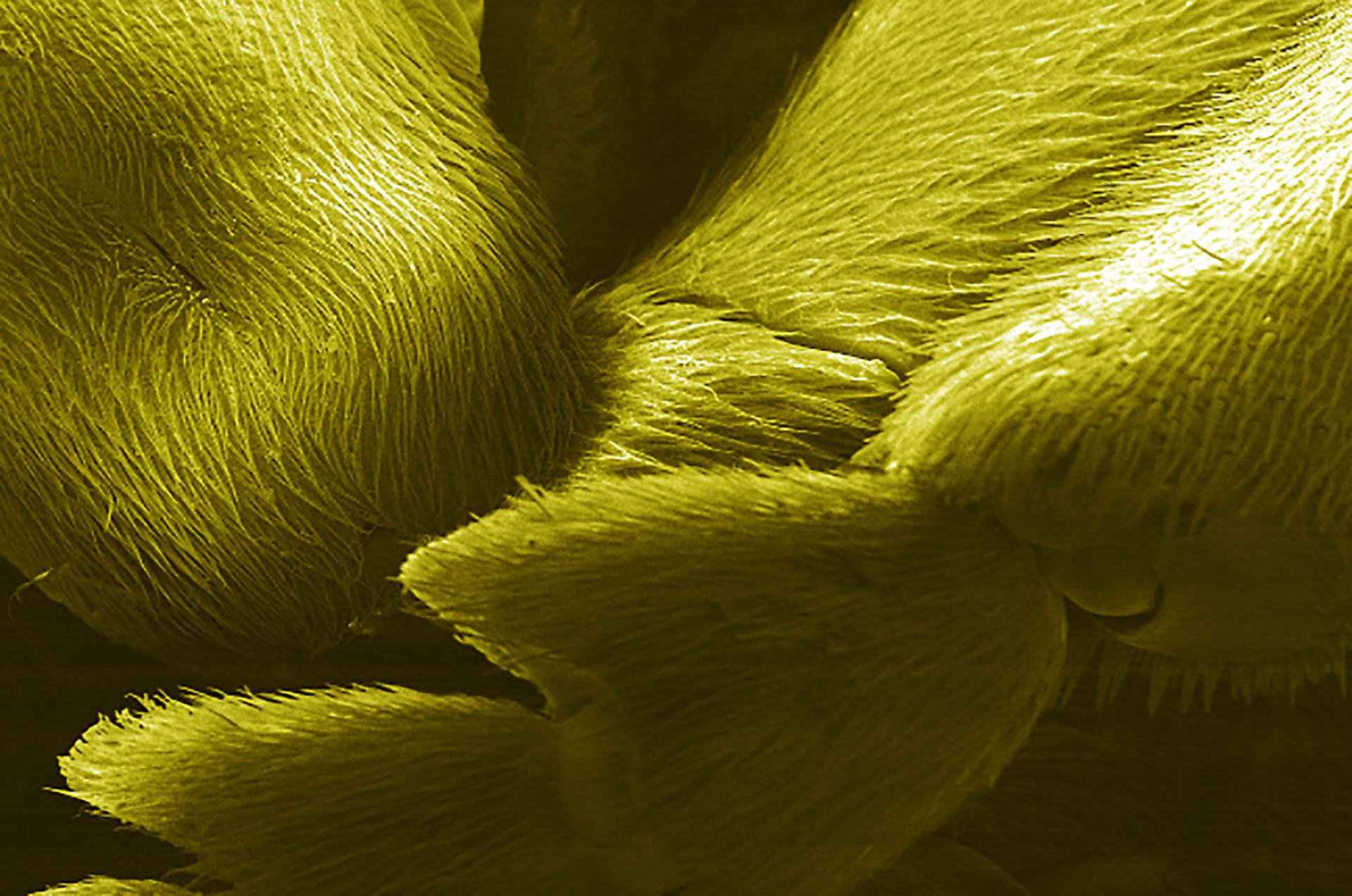 Micro/Nano Engineering Laboratory | MIT Department of Mechanical Engineering